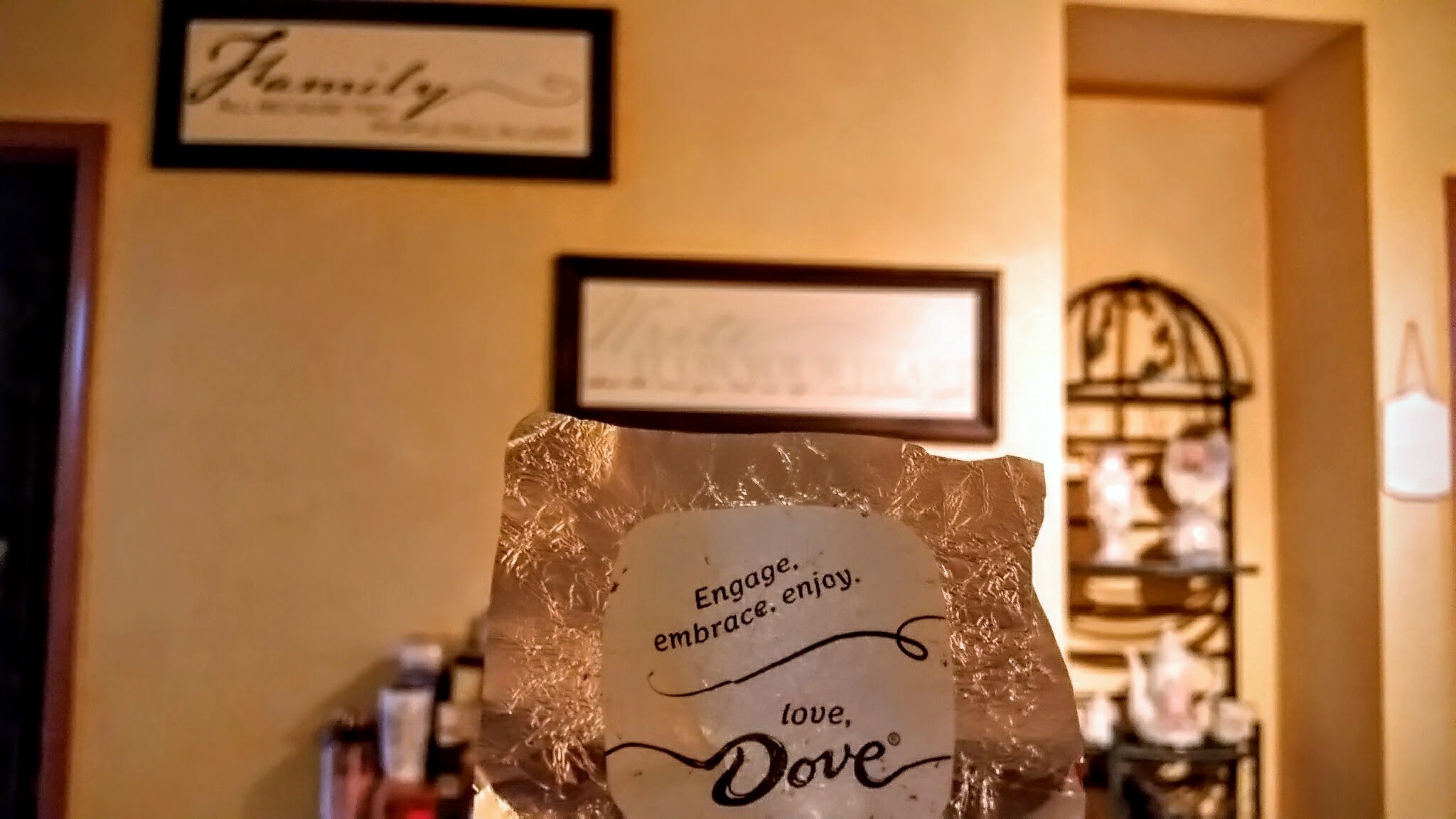 THE 12 DOVES OF CHRISTMAS [Creative Nonfiction] — ADDUCENT